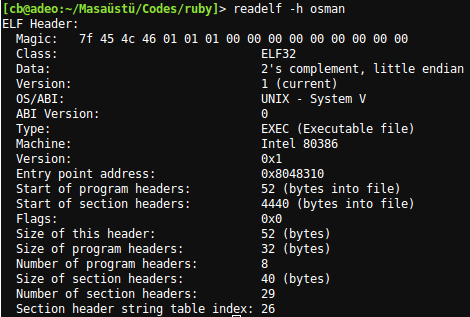 Canberk Bolat: ELF File Format Parsing