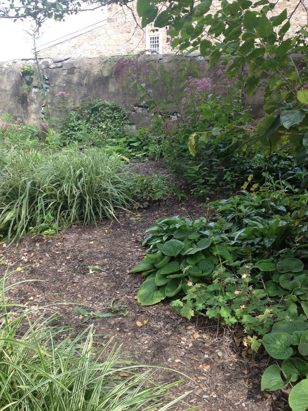 Penn State Extension Philadelphia Master Gardeners : Burpee’s Historic ...