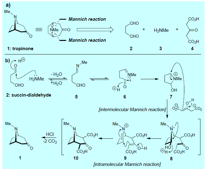 Organic Chemistry: THE ART AND SCIENCE OF TOTAL SYNTHESIS (TROPINONE)