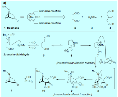 Organic Chemistry: THE ART AND SCIENCE OF TOTAL SYNTHESIS (TROPINONE)