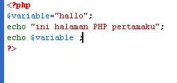 Penggunaan Variable, echo, dan komentar PHP