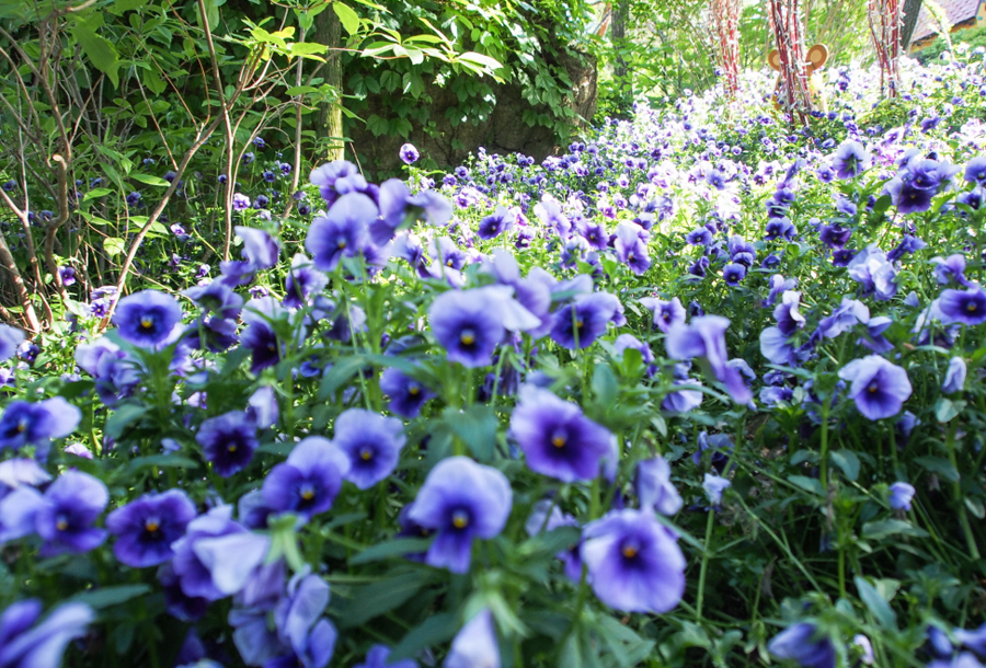 Summer Water Park Getaway in Korea - Spa Valley with Hot Spring and ...