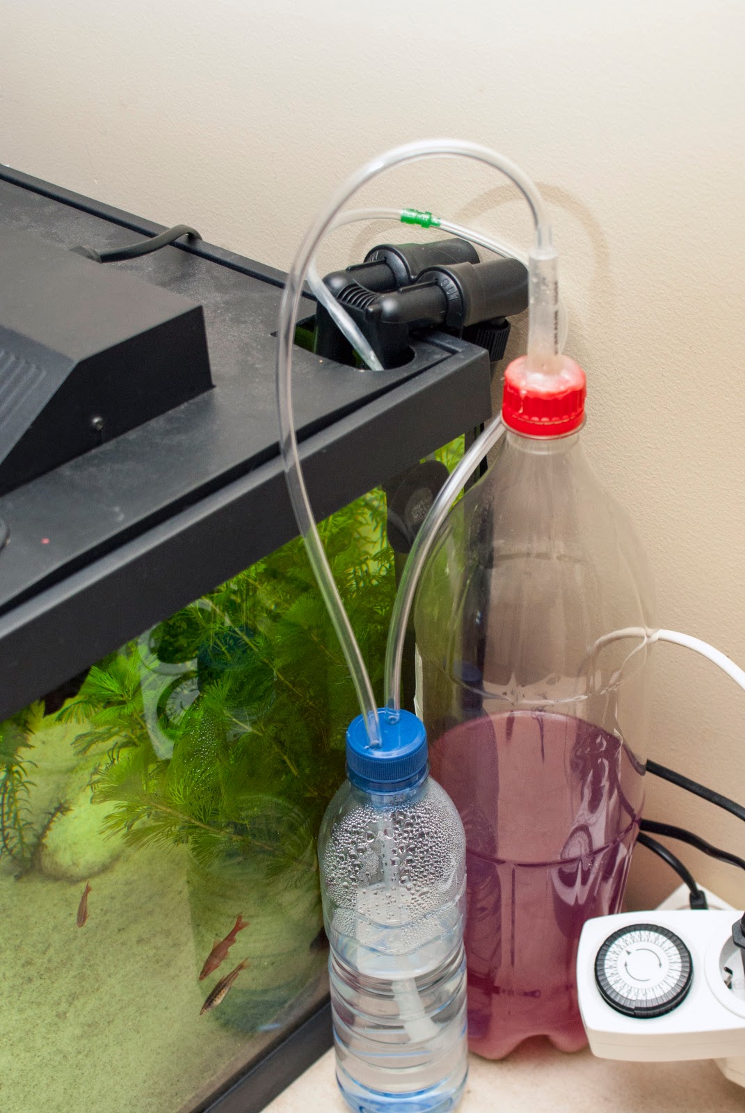 COMO FAZER SISTEMA DE CO2 CASEIRO | Plantas Aquáticas