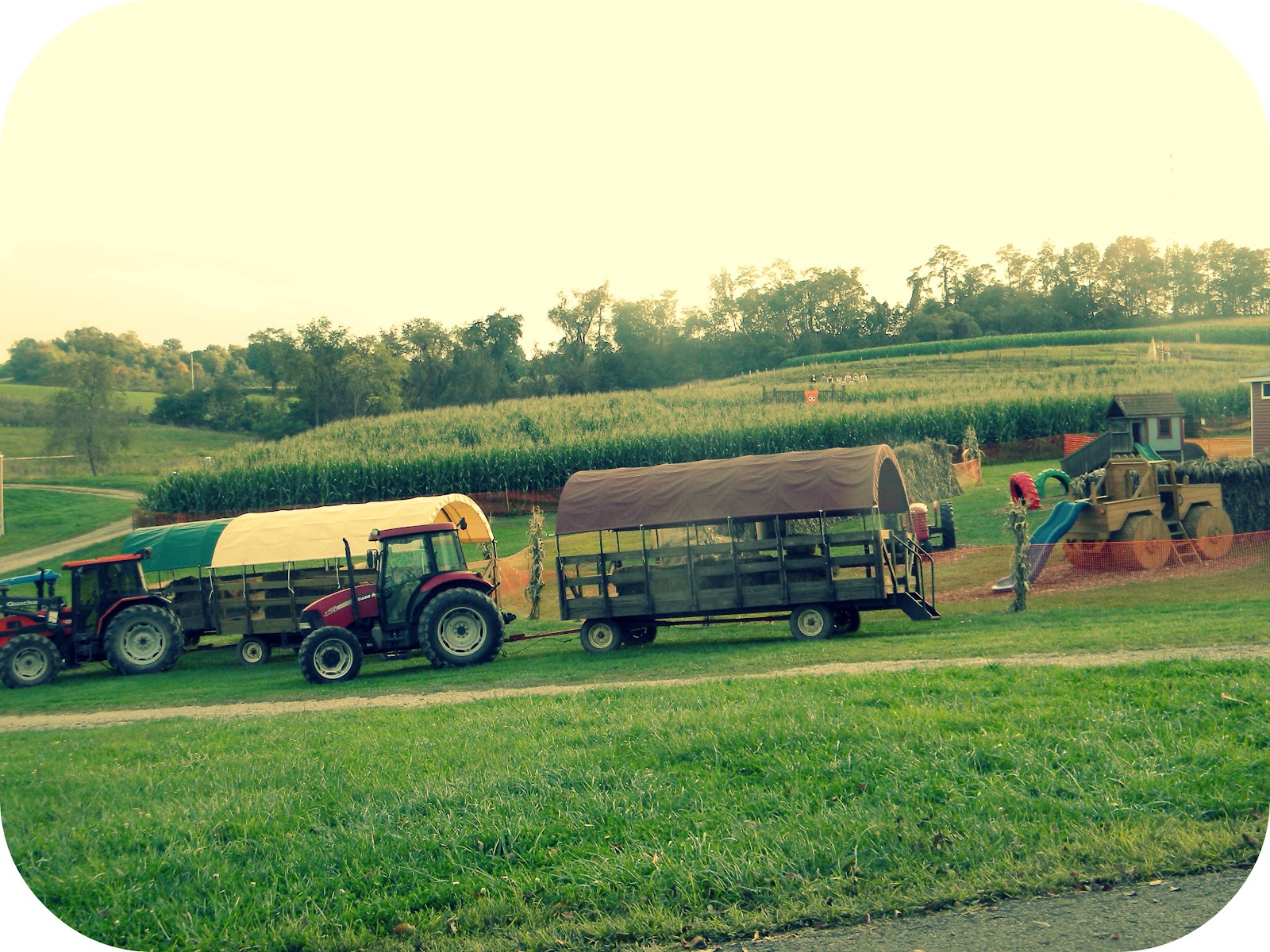 Pgh Momtourage: In Review: Triple B Farms