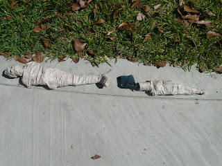 It Happens in a Flash: CtG Week 5 - mummified Barbies, make your own ...