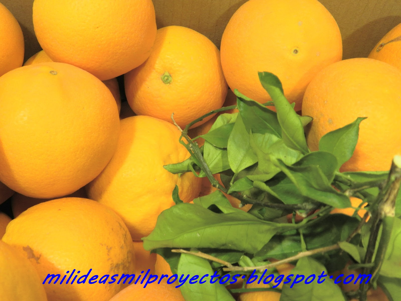 ROSQUILLAS DE NARANJA CON NARANJAS RIBERA DEL JUCAR - Mil ideas, mil ...