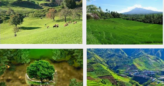 Arti Penting Lingkungan Hidup Bagi Manusia - ReadyyGo