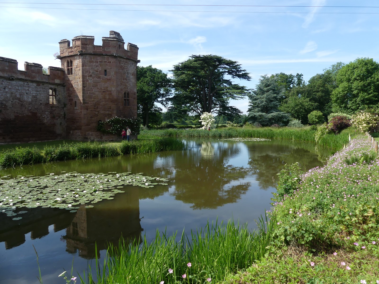 Ragged Robin's Nature Notes: Maxstoke Castle Open Day 2018