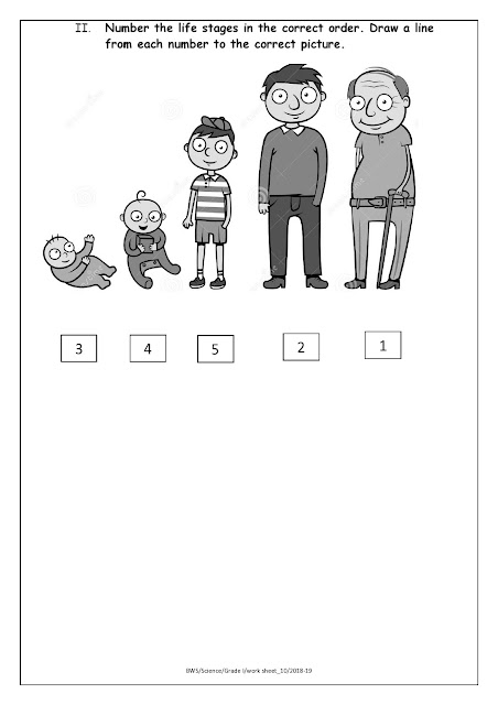 Birla World School Oman: Homework for Grade 1 as on 13/12/2018