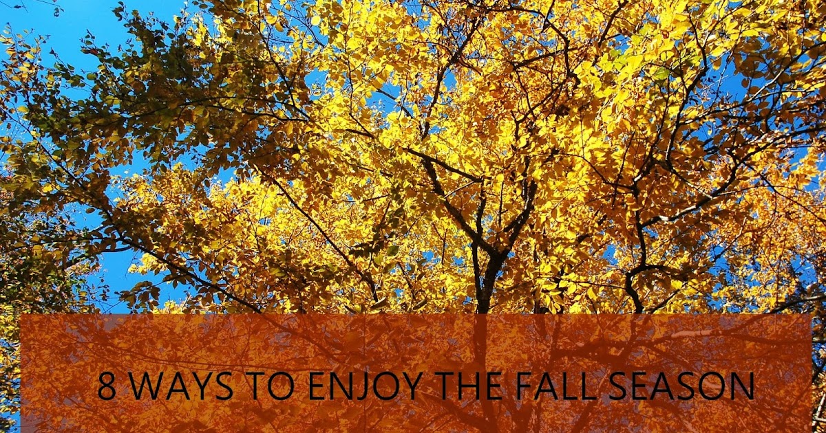 8 WAYS TO ENJOY FALL.