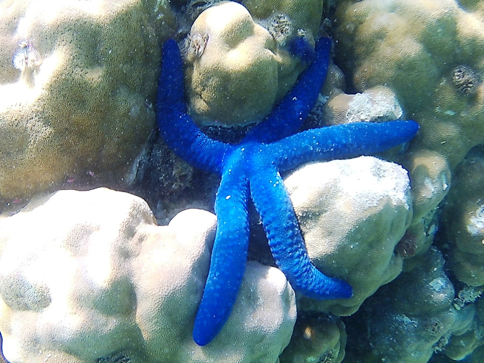 Dreamtime Sail: Batt Reef - We're all alone on the outer Great Barrier Reef