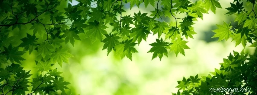 Fotos para Capas do Facebook