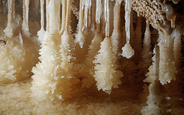 Waitomo Glowworm Caves New Zealand | Desktop Wallpapers