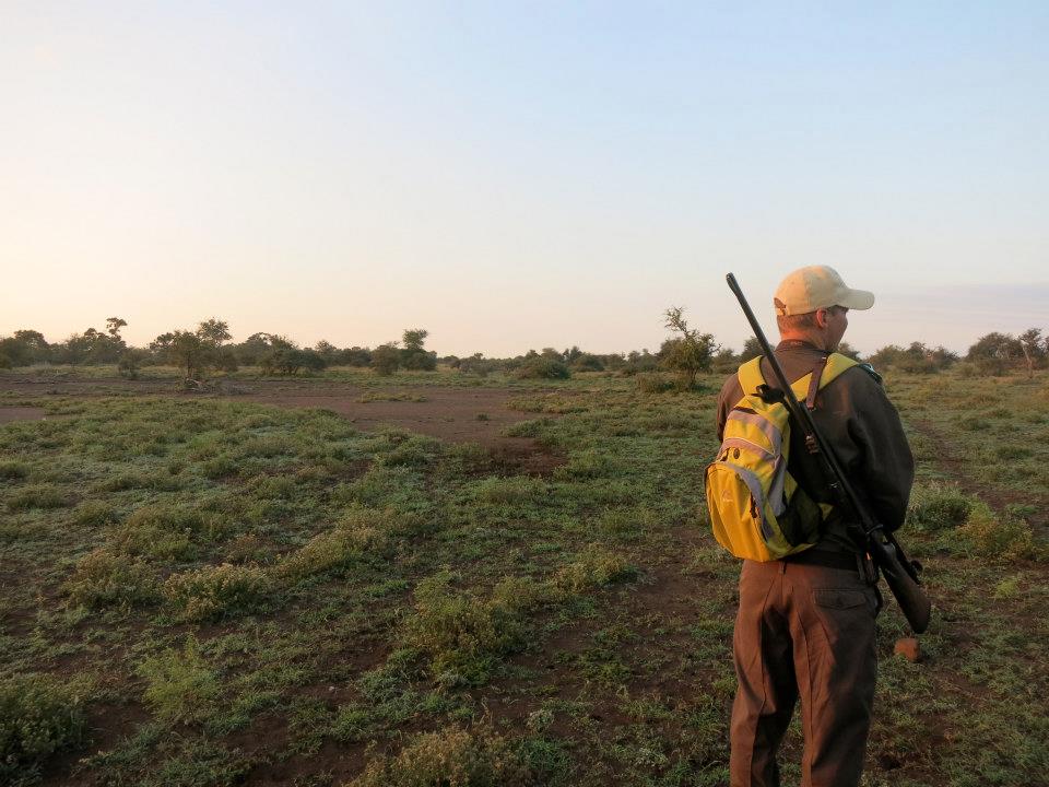 Do I Really Need That Rabies Shot...? : Kruger National Park--> Ha ...