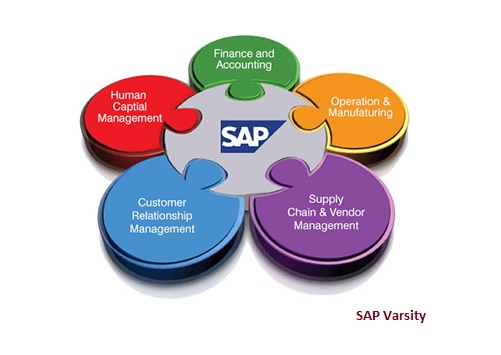 SAP INSTITUTE: SAP (ERP)