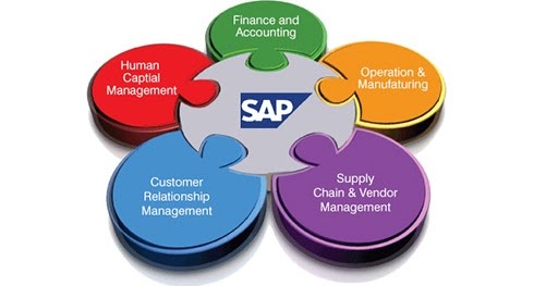 SAP INSTITUTE: SAP (ERP)