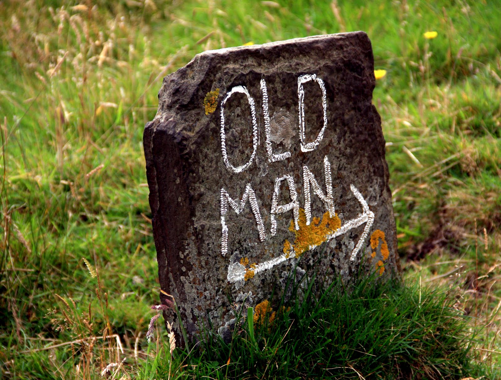 Kate Bloomfield Photography