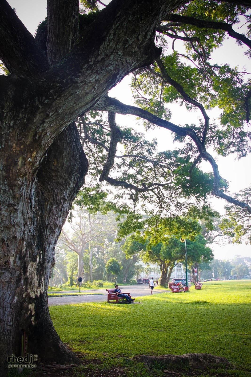 damit pang simba - philippin news collections