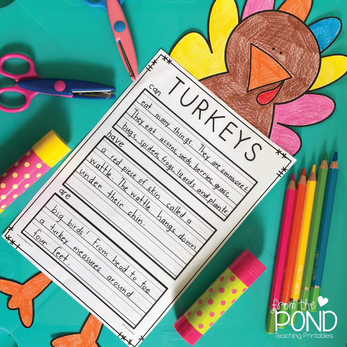 Gobble Gobble | From the Pond