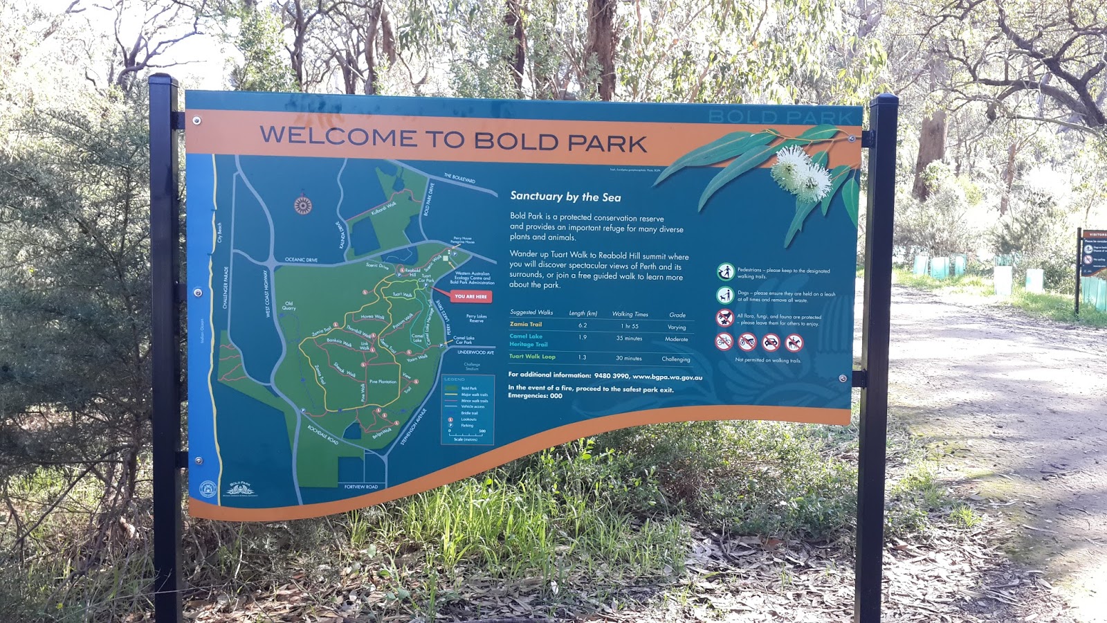 My Travel Diary: Bold Park