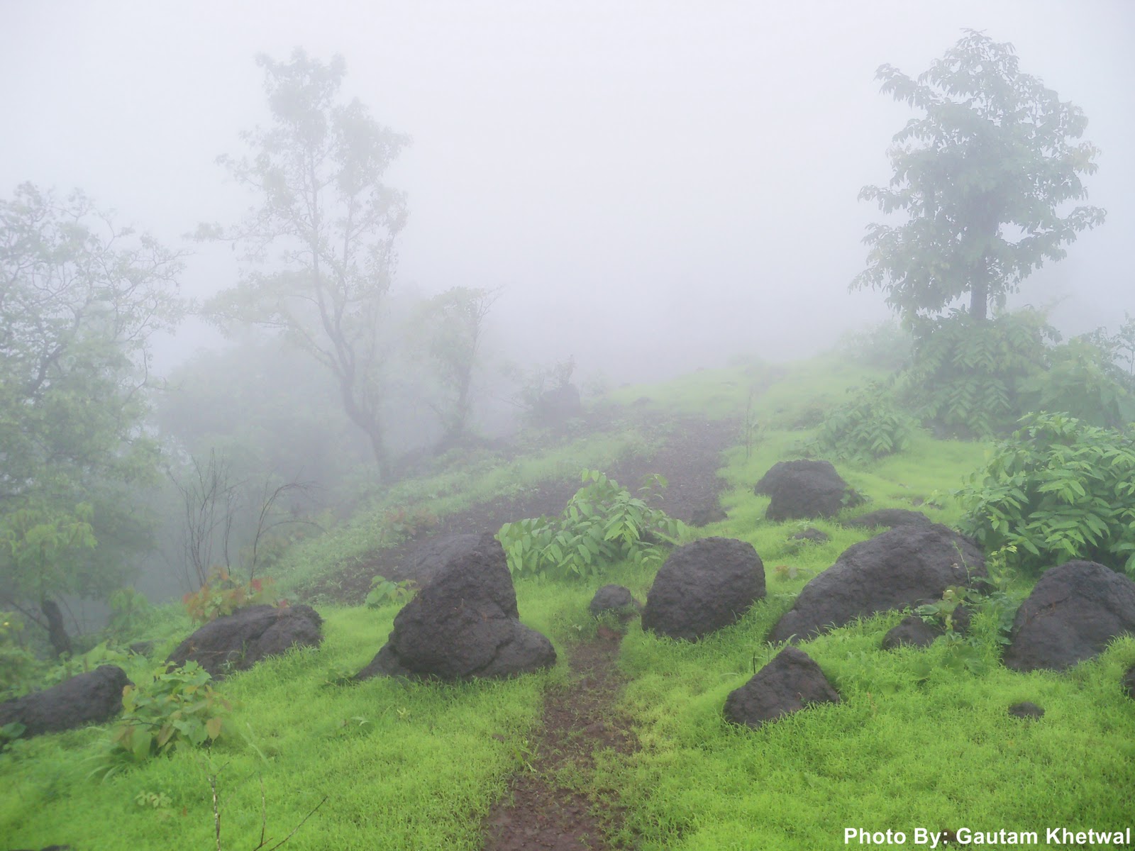 Yeoor Hills, SGNP, Thane: Scenic points in Yeoor Hills