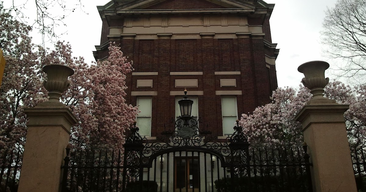 My Walking Pictures: Cherry Walk in Spring