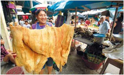 PAICHE: Caso exitoso de manejo de Paiche