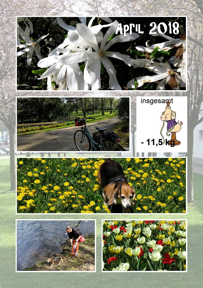 Käferchen: April-Collage
