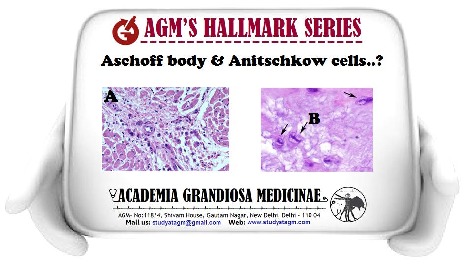 NEET-PG Study Materials, MCQs, Discussions, Study tips & News ...