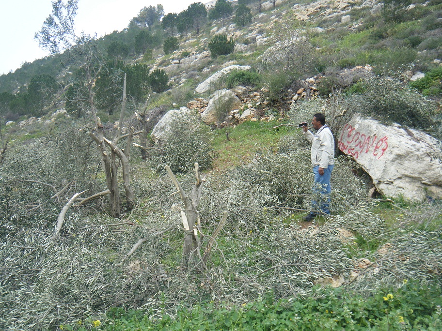 Abu Pessoptimist: Settlers chop down fruit trees belonging to villages ...