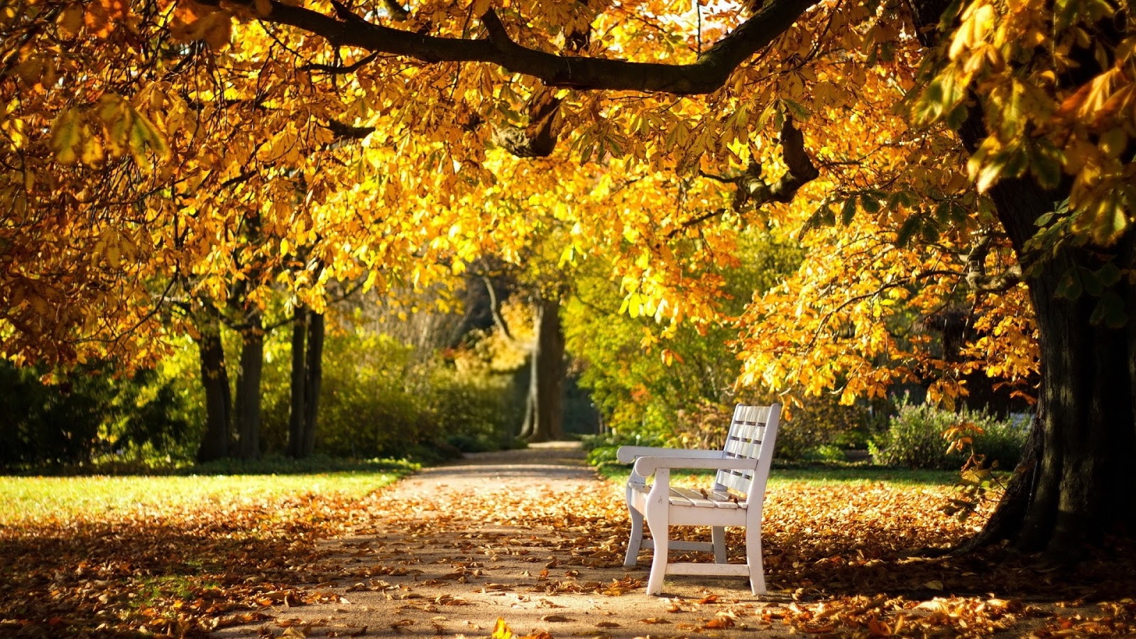 Park Autumn Bench - Mystery Wallpaper