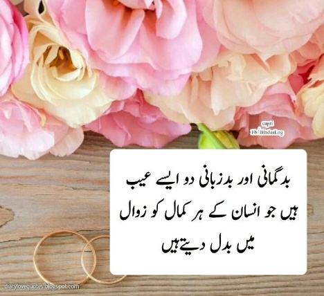 40+ Bindas Log fb Poetry Images, Quotes and Beautiful Though - Check ...