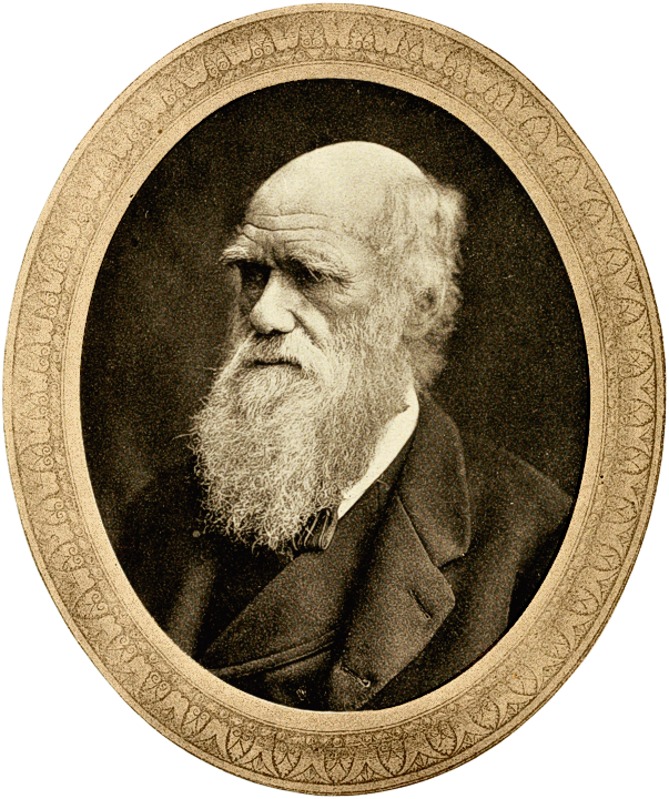 pre-Gébelin Tarot History: Thank God for Darwin Day?