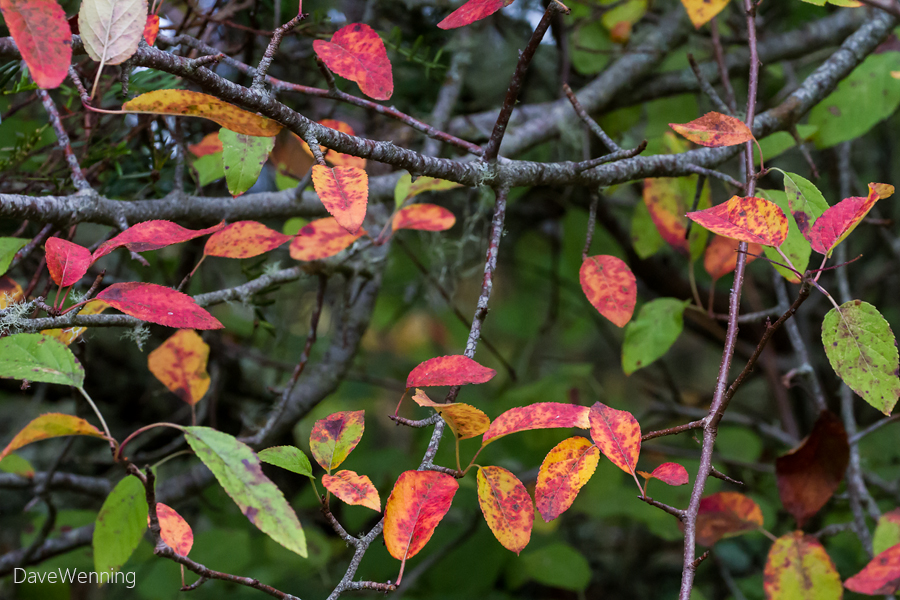 We Know It's Autumn...