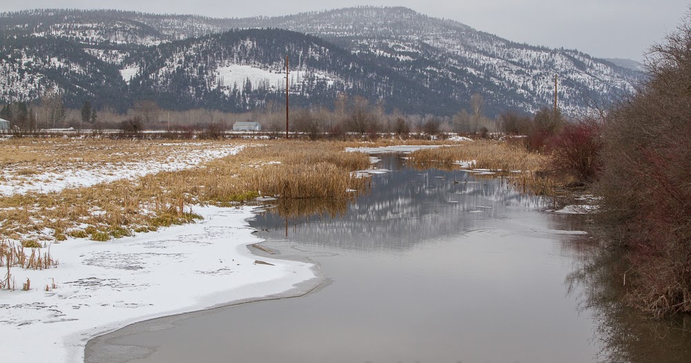 Linda's Lens: Scenes From Montana