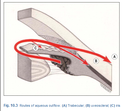 Medical Facts: April 2014