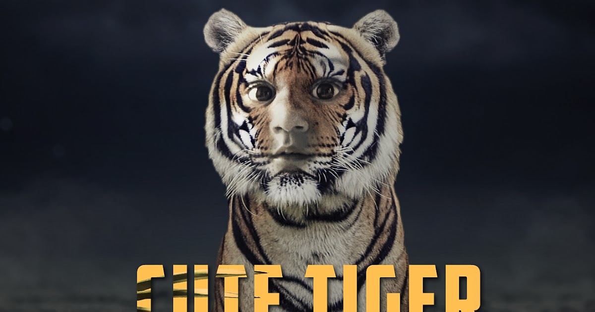 Cute Tiger Photoshop manipulation