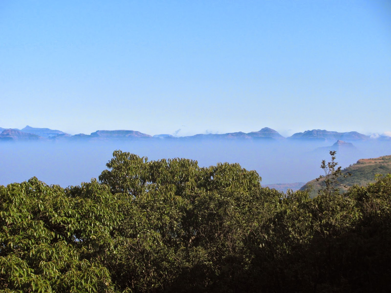 Weekend Nature Explorer: Trek Durg, Dhakoba, Amboli & Darya Ghat