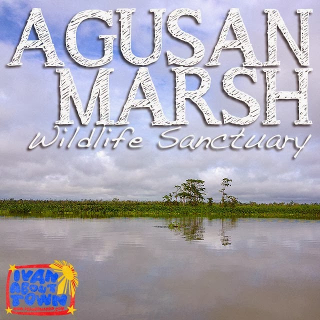 Agusan del Sur: Agusan Marsh Wildlife Sanctuary | Ivan About Town