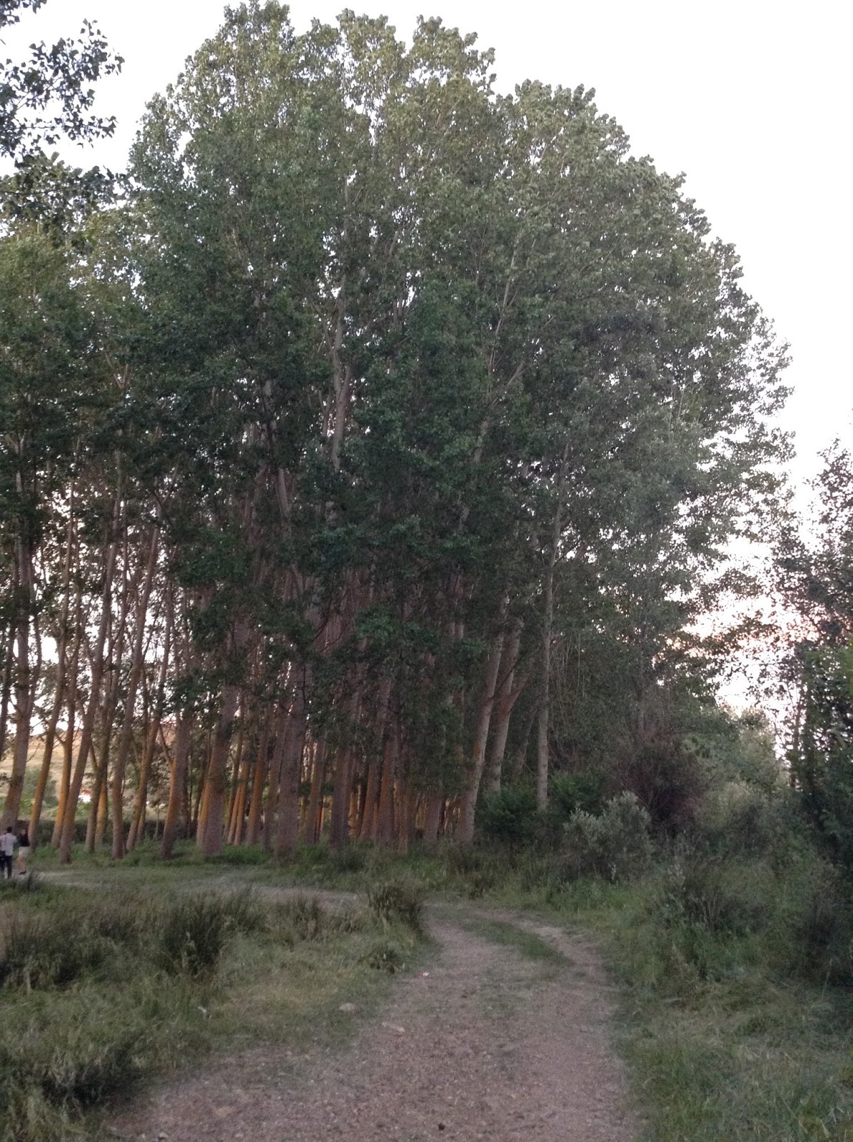 NATURALEZA AL DÍA: 2015