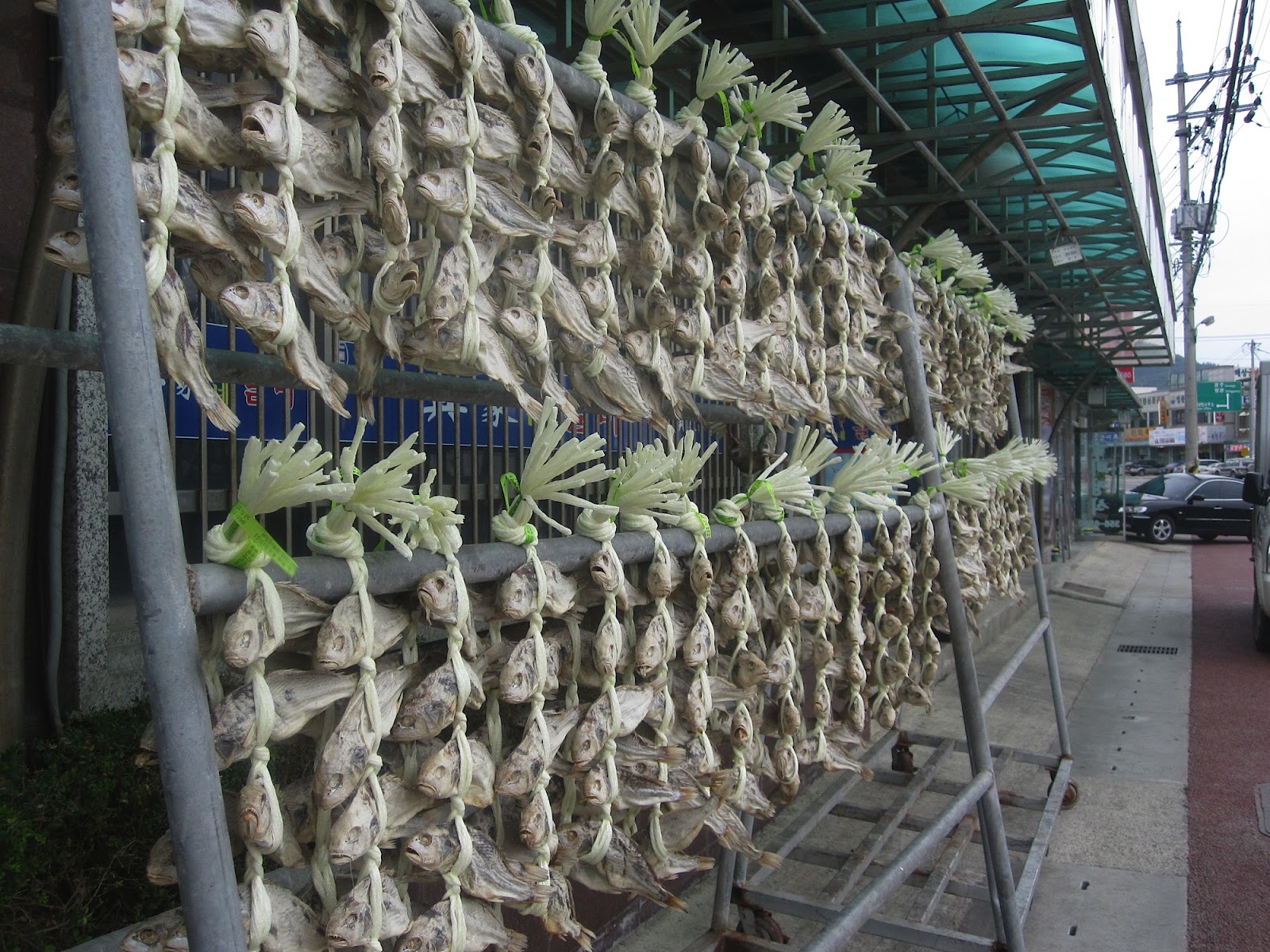 Drying Fish in the Korean Countryside