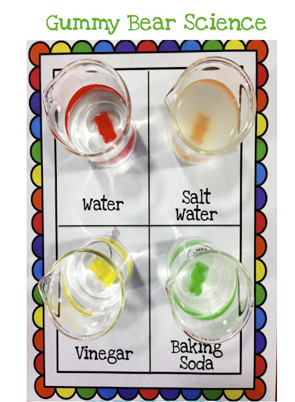 Amelia's Teacher Boutique: A Gummy Science Investigation