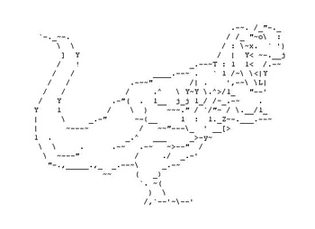 Paginar News - English Edition