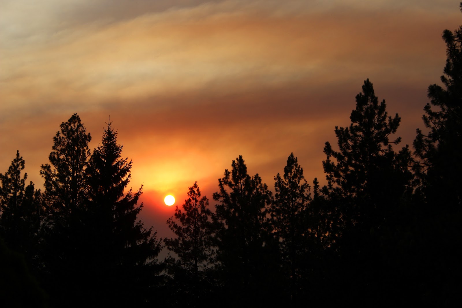 s u l u s t u: The Red Sun