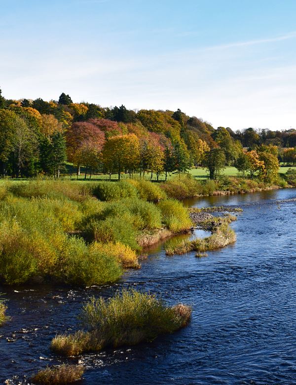 Photographs Of Newcastle: Corbridge Bridge and River Tyne