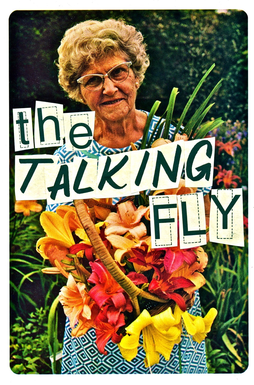 Steve Olpin filmmaker : The Talking Fly (card # 3)