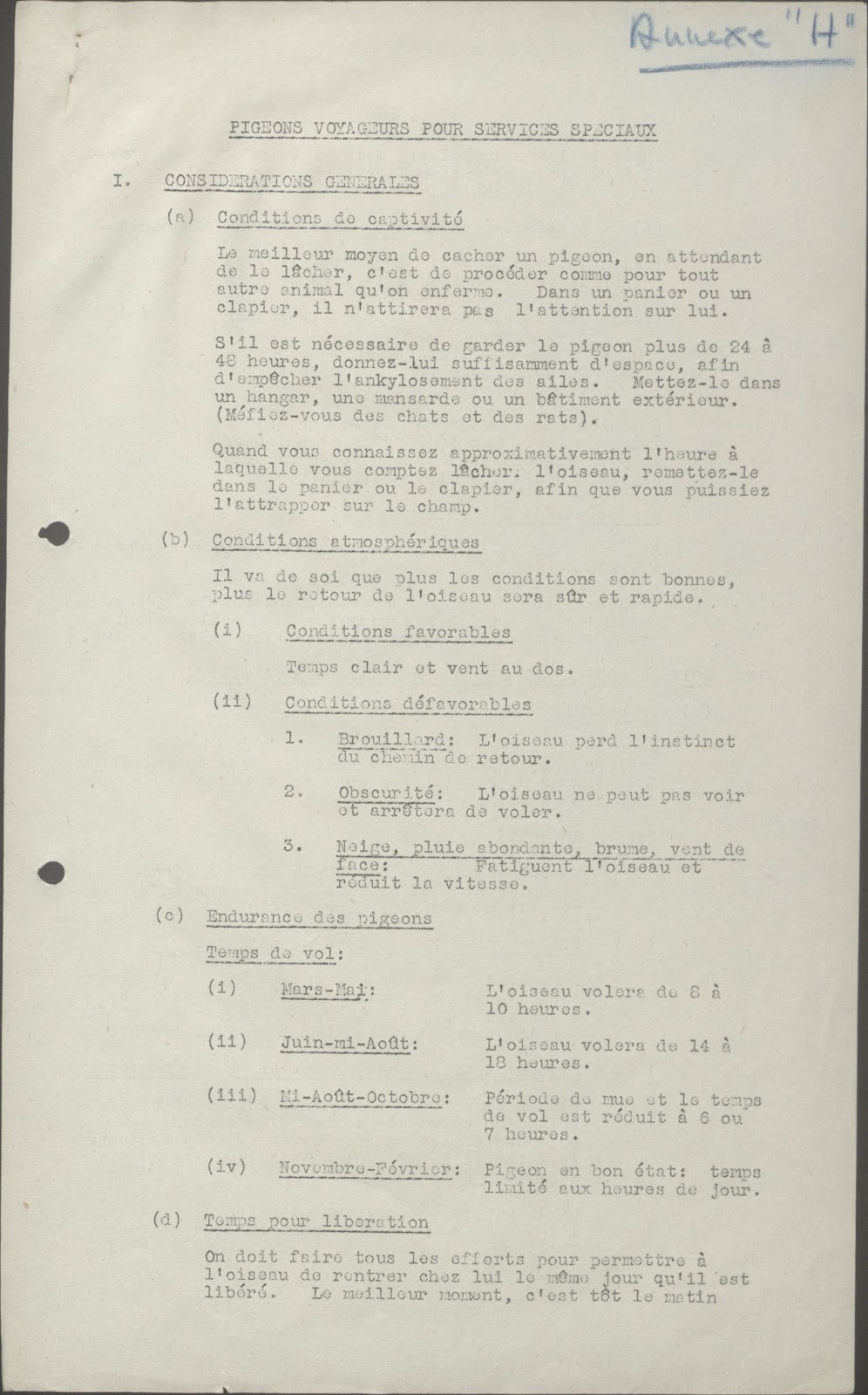 World War 2 Military Intelligence: Pigeons and Special Operations ...