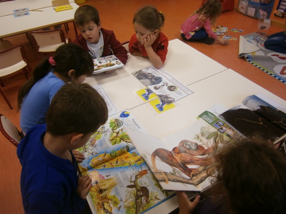 LA CLASE DE MIREN: mis experiencias en el aula: PROYECTO LOS MONOS ...