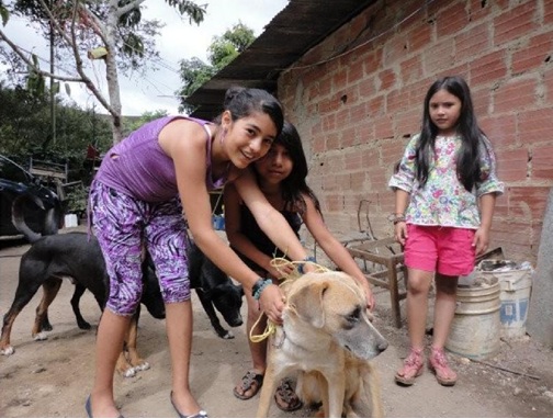 White Wolf : Venezuelan Rescue Team Helps Thousands of Dogs and Cats ...