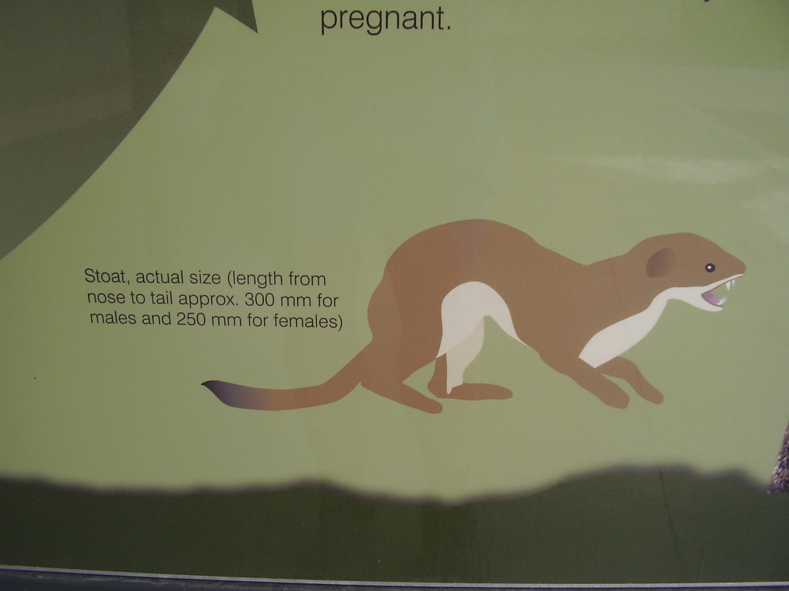 What We Do is Who We Are: New Zealand Great Walks - Routeburn Track